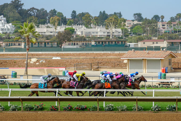 Seven Go Long in Hollywood Turf Cup at Del Mar - PlayUp