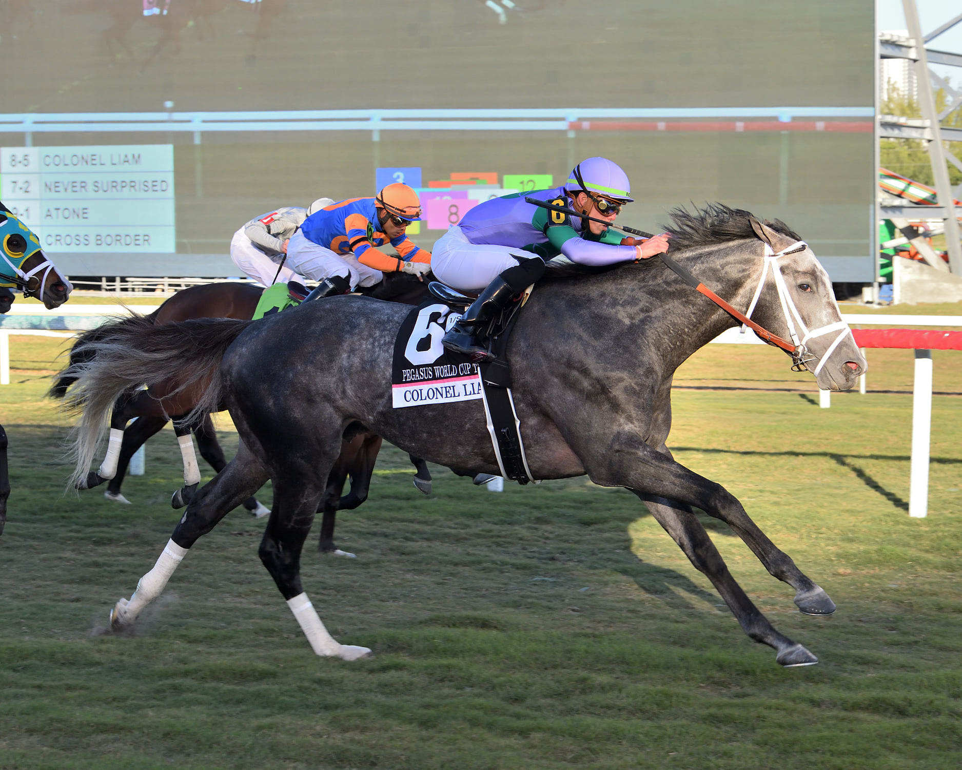 Colonel Liam Returns Thursday at Gulfstream Park - PlayUp