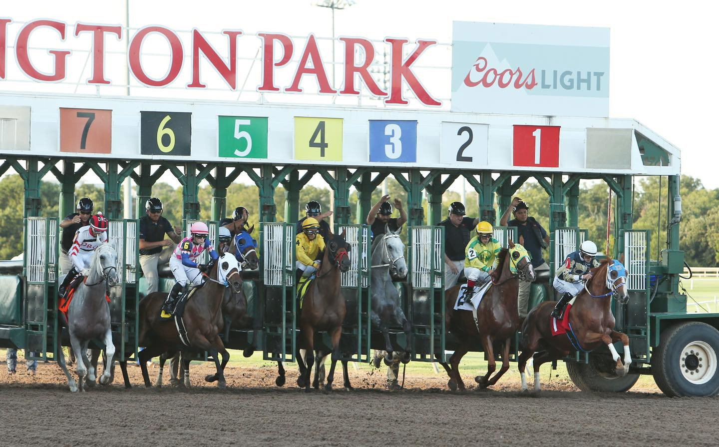 Looking for a Longshot in Remington Springboard Mile - PlayUp